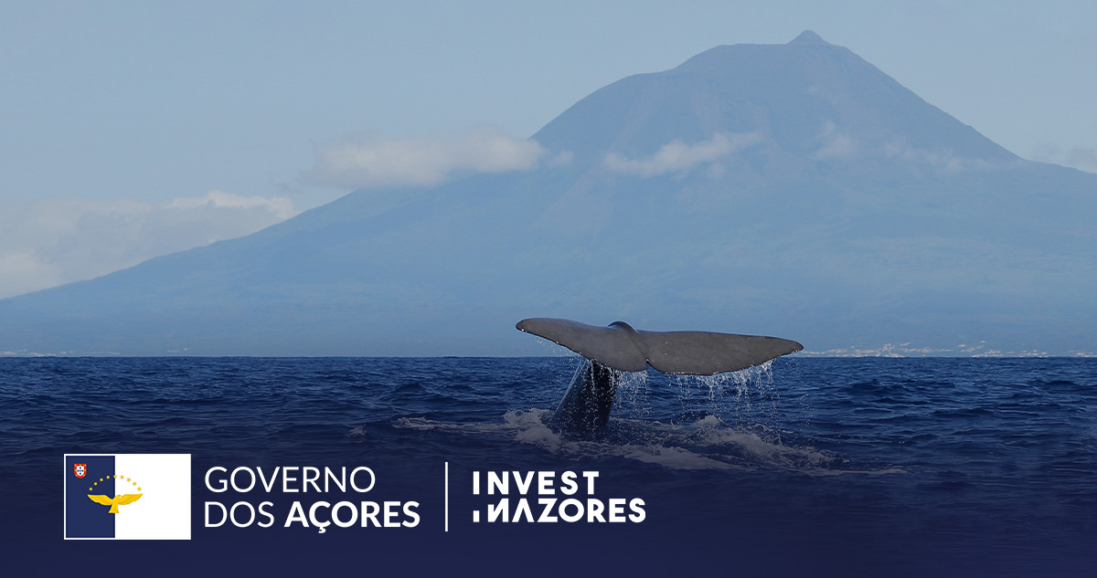 Ponta Delgada recebe 1.ª edição do Invest in Azores para promover ...