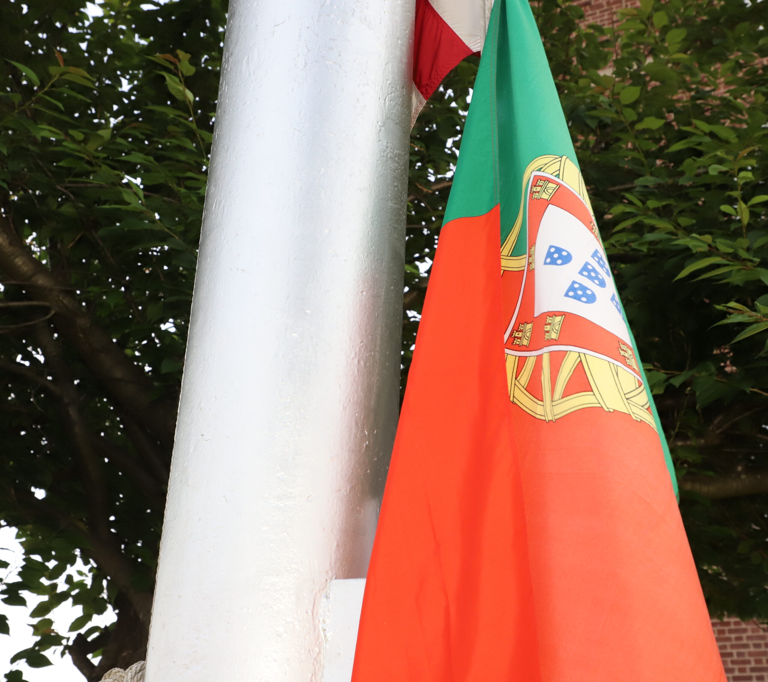 ELIZABETH, NJ | Anunciado programa completo das comemorações do Dia de ...